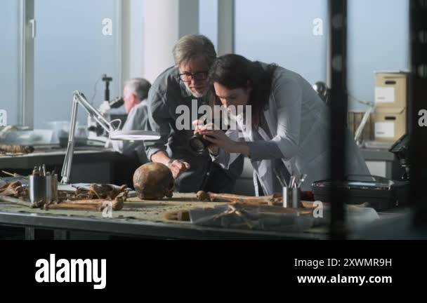 Female paleoanthropologist takes photo of fossil skull remains of ...