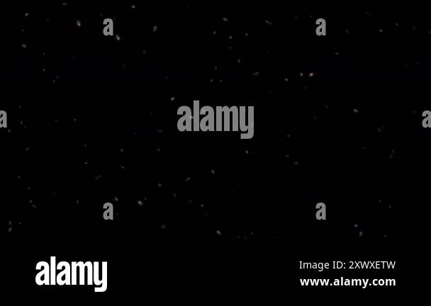 Loop white dust particles falling down animation on black abstract ...