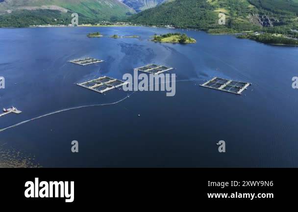 Fish farming pen Stock Videos & Footage - HD and 4K Video Clips - Alamy