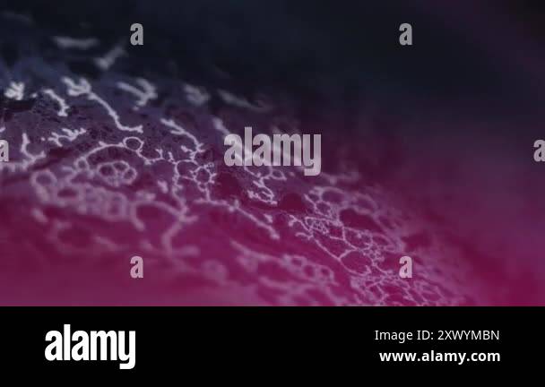 Acid foam. Chemical fluid. Defocused pink blue color bubble texture ...