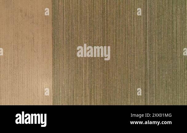 Aerial View Of Two Adjacent Farmland Fields, One Freshly Plowed And ...
