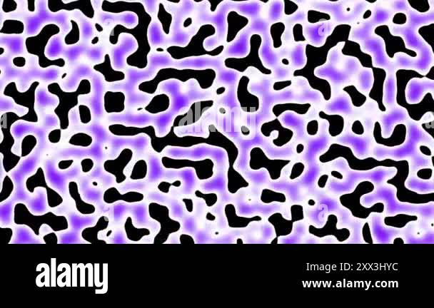 Abstract lilac and black motion background. Dynamic animated loopable ...