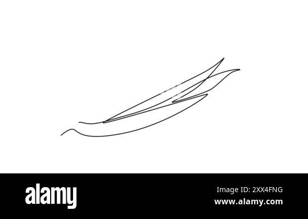 Crop logo Stock Videos & Footage - HD and 4K Video Clips - Alamy