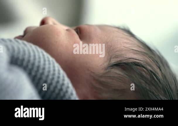 Side profile of newborn gazing upwards, showcasing the curiosity and ...