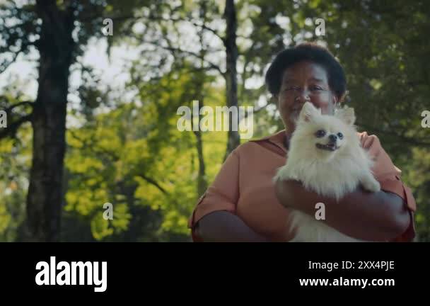 White dog smiling trees Stock Videos & Footage - HD and 4K Video Clips ...