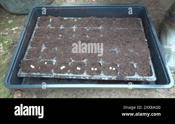 Seedbed nursery Stock Videos & Footage - HD and 4K Video Clips - Alamy