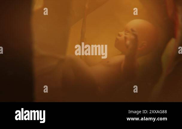 3D animated graphics of baby developing in mother womb and amniotic ...