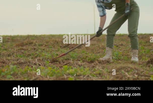 Hoeing weeds Stock Videos & Footage - HD and 4K Video Clips - Alamy