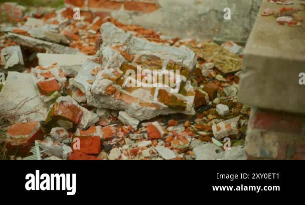 Wall shell Stock Videos & Footage - HD and 4K Video Clips - Alamy