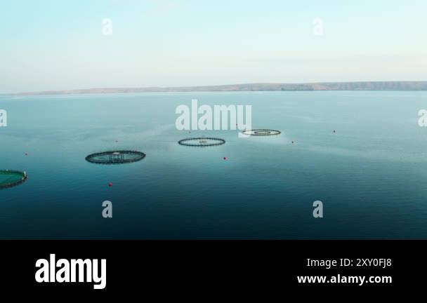 Fish farming operations Stock Videos & Footage - HD and 4K Video Clips ...