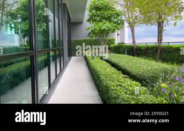 A modern outdoor garden walkway adjacent to a glass walled gym ...