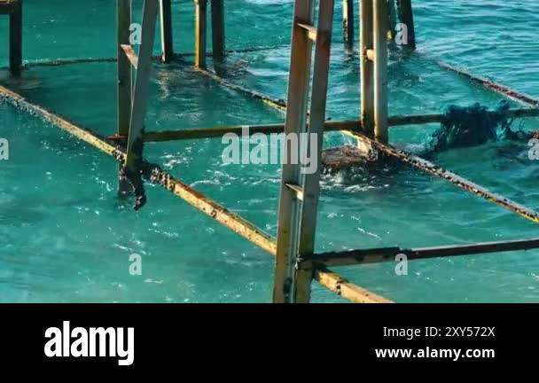 Turquoise framework Stock Videos & Footage - HD and 4K Video Clips - Alamy