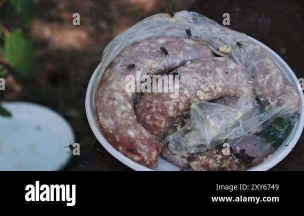 Breeding safety Stock Videos & Footage - HD and 4K Video Clips - Alamy