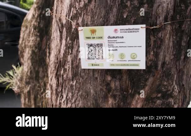 Environmental scanning Stock Videos & Footage - HD and 4K Video Clips ...