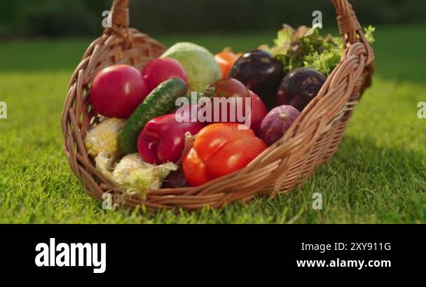 A woven basket filled with fresh vegetables sits on a lush green lawn ...
