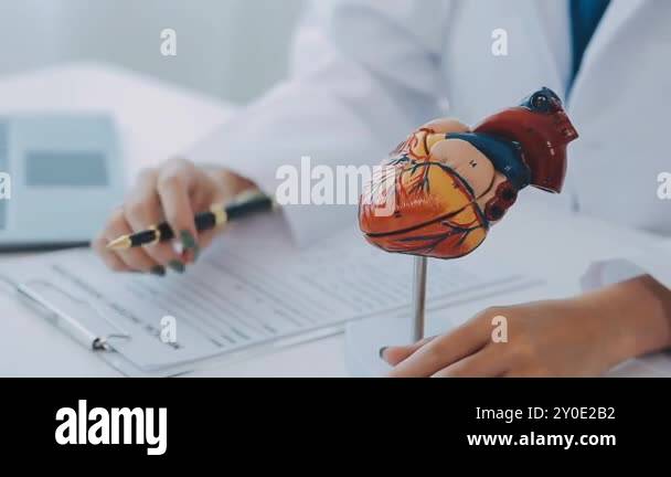 The doctor is explaining the heart to an elderly patient using a ...