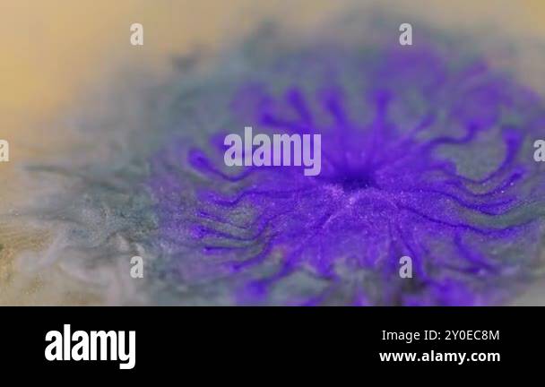 Drop of gold paint Stock Videos & Footage - HD and 4K Video Clips - Alamy