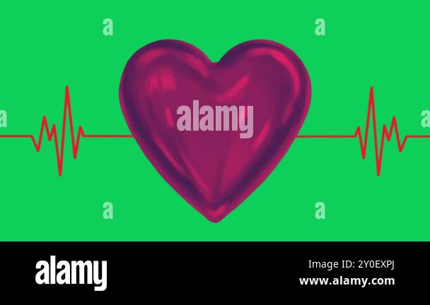 3d heart rotation animation on green screen background. 4k render video ...