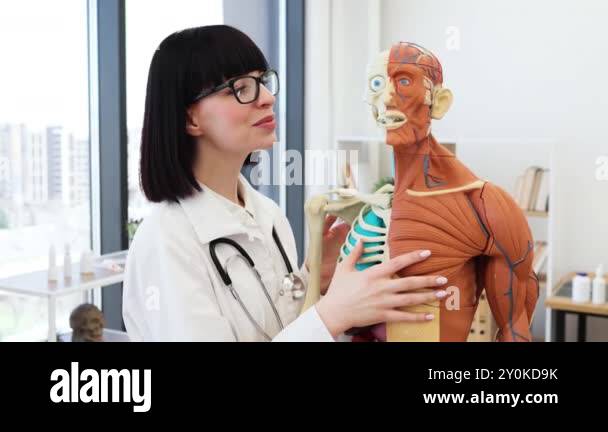 Anatomical mannequin Stock Videos & Footage - HD and 4K Video Clips - Alamy