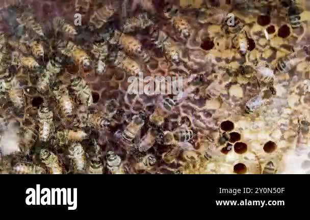 Microsoft edge browser Stock Videos & Footage - HD and 4K Video Clips ...