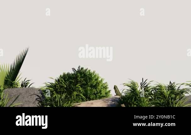 vegetation nature plant green natural environment foliage background 3d ...