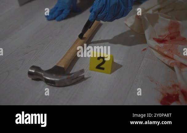 Forensic expert in gloves examines a bloody hammer and evidence number ...