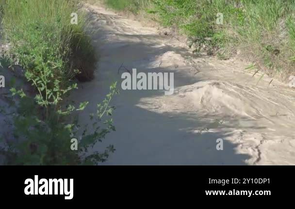 The problem of environmental pollution. Plants dump their waste into ...