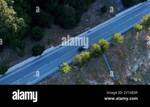 Road trees no people black and white Stock Videos & Footage - HD and 4K ...