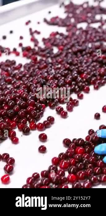 Quality control vertical Stock Videos & Footage - HD and 4K Video Clips ...