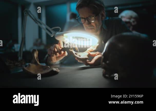 Mature archaeologist takes measurements of fossil bone using ...