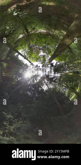 The video begins with a fisheye view of a forest from the ground ...