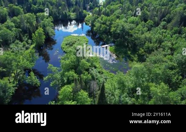 Grassy swampy creek river with calm like mirror water. Stream is ...