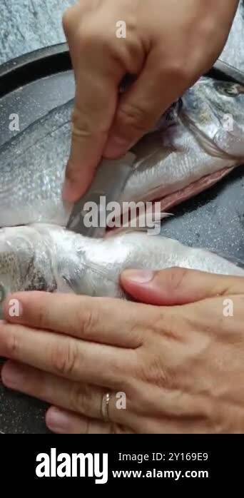 Gutting of fish Stock Videos & Footage - HD and 4K Video Clips - Alamy