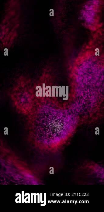 Furry dance Stock Videos & Footage - HD and 4K Video Clips - Alamy