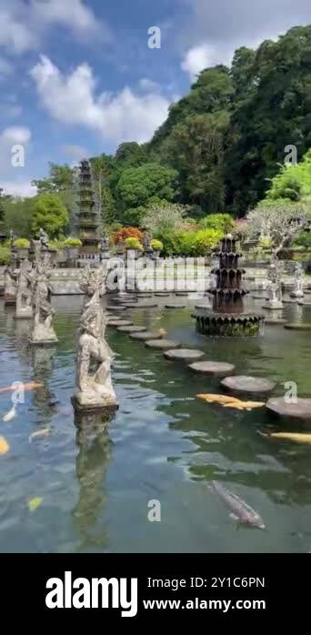 Balinese royal pond Stock Videos & Footage - HD and 4K Video Clips - Alamy