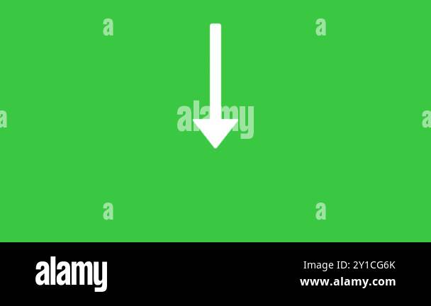 Thin White Arrow Point Down on Green Screen. Seamless Loop Animation of ...