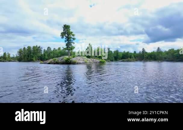 North american fir Stock Videos & Footage - HD and 4K Video Clips - Alamy