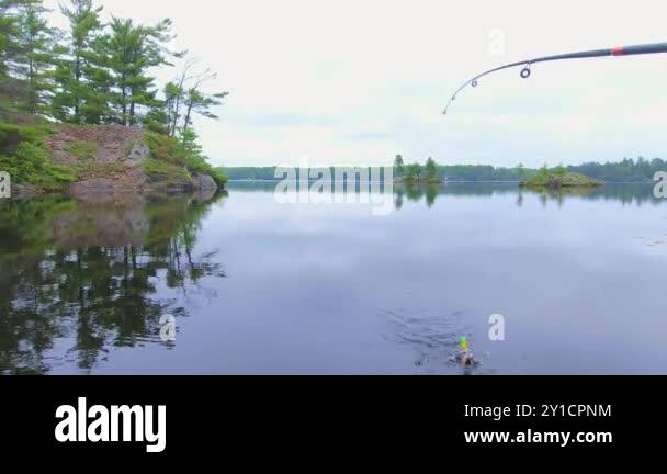Angler casting rod with artificial baitfish lure for big mouth bass in ...