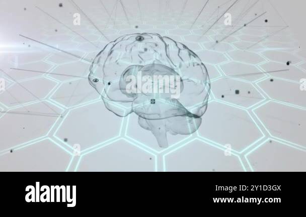 Brain with neural network connections and data processing animation. Artificial Intelligence ...