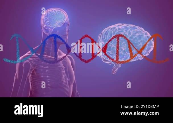 Dna brain illustration Stock Videos & Footage - HD and 4K Video Clips ...