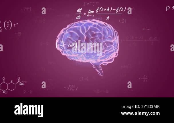 Brain model with scientific equations animation on purple background ...