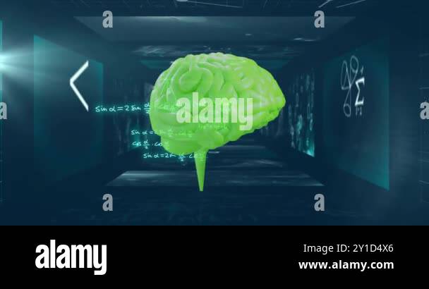 Mathematical equations and brain model animation over dark background ...