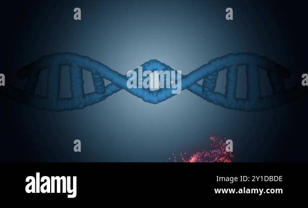 Dna nucleotide sequence Stock Videos & Footage - HD and 4K Video Clips ...