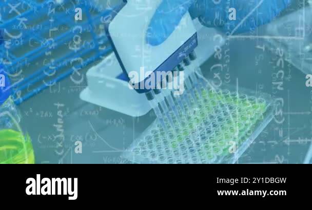 Pipetting liquid wells scientific equations Stock Videos & Footage - HD ...