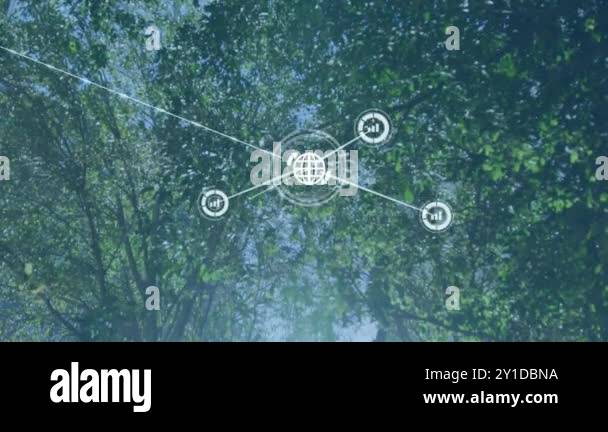 Network of connections and data processing animation over forest ...