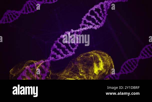 DNA strands and molecular structures, scientific research animation ...