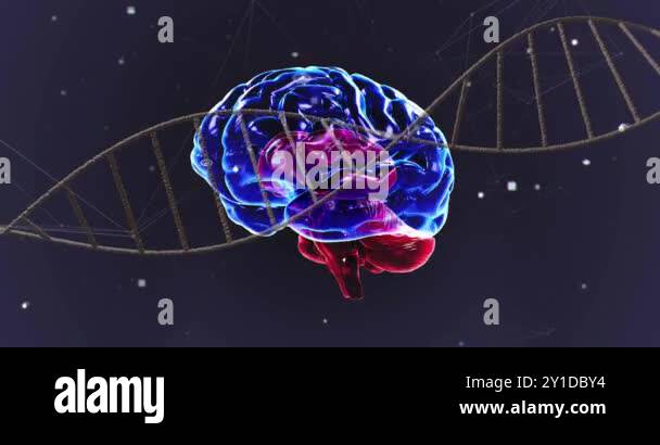 Neural concept Stock Videos & Footage - HD and 4K Video Clips - Alamy