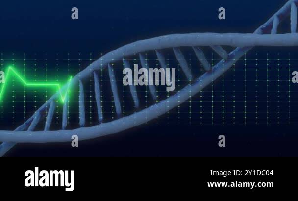 Healthcare technology genetics Stock Videos & Footage - HD and 4K Video ...