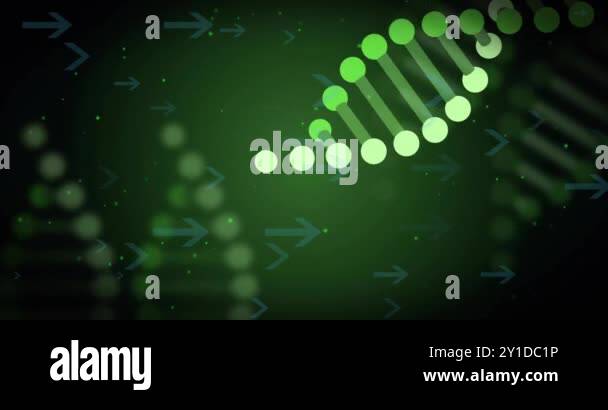 DNA strand with arrows, genetic research animation in lab setting ...