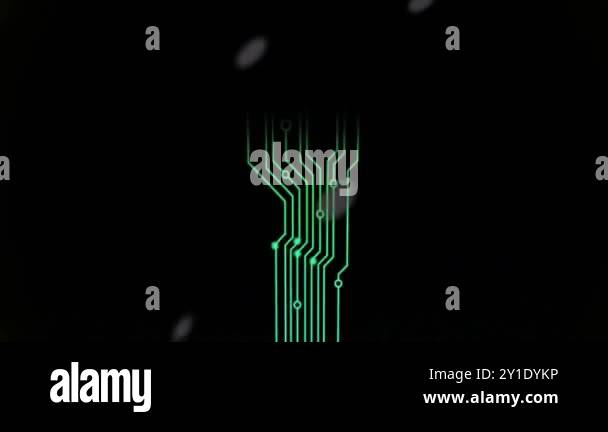 Circuit tree animation over electronic motherboard background ...